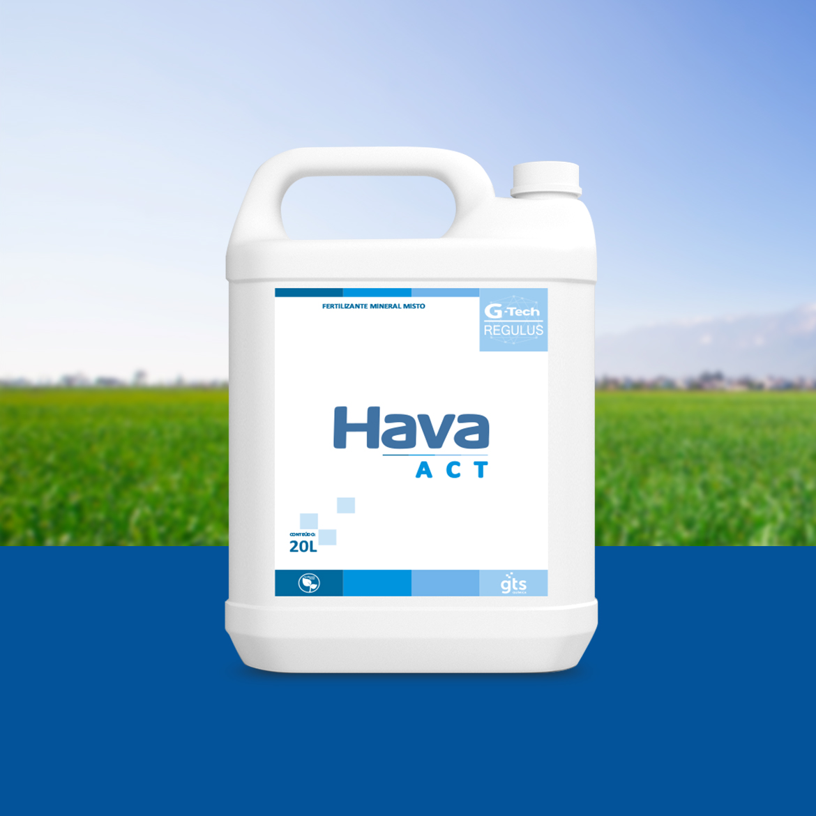 Packing Hava - Agro.Co